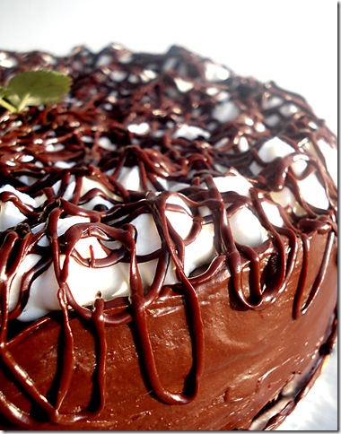 Chocolate genoise with chocolate mousse - Doughmesstic